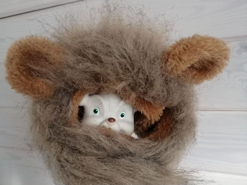 Шапка льва для котика кошки кота