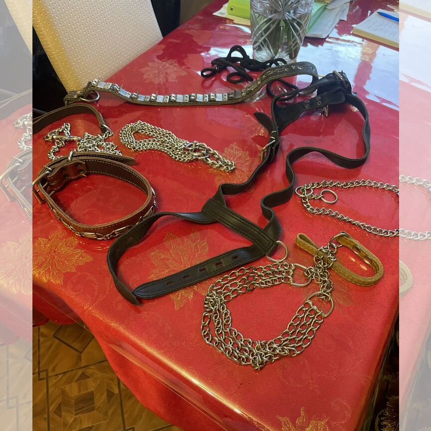 Ошейник для собак с шипами и обычные