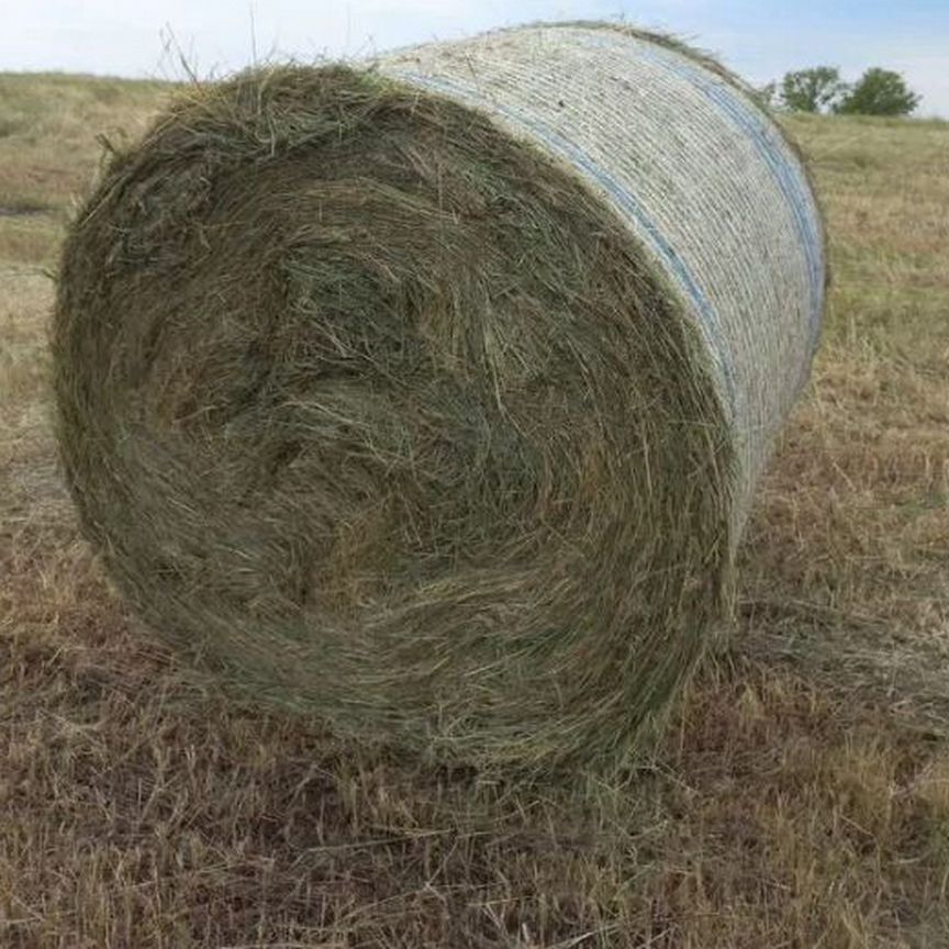 Сено в тюках разнотравье