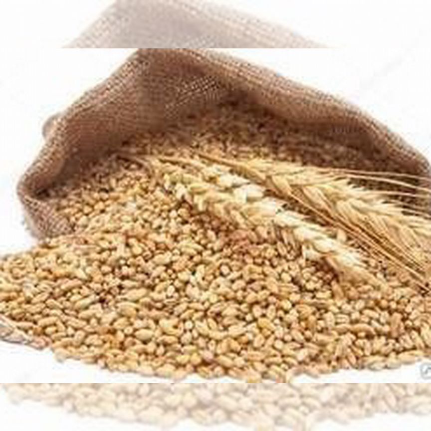 Дробленка/зерно