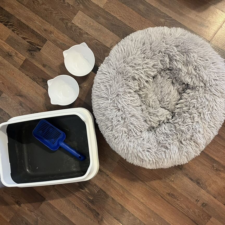 Лежанка, миски, лоток