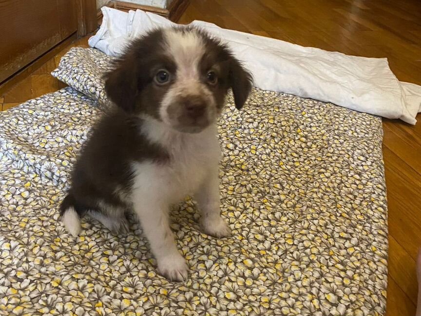 Чудо ребенок в добрые руки