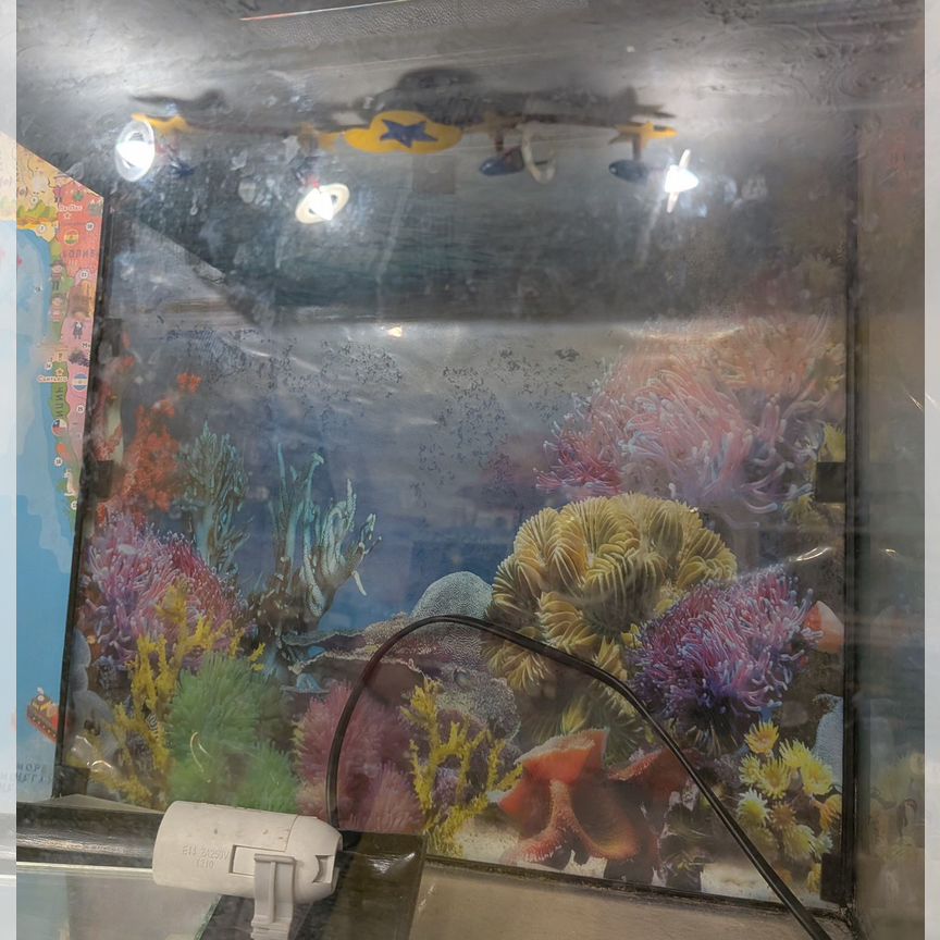 Аквариум с фильтром и светом и начинкой