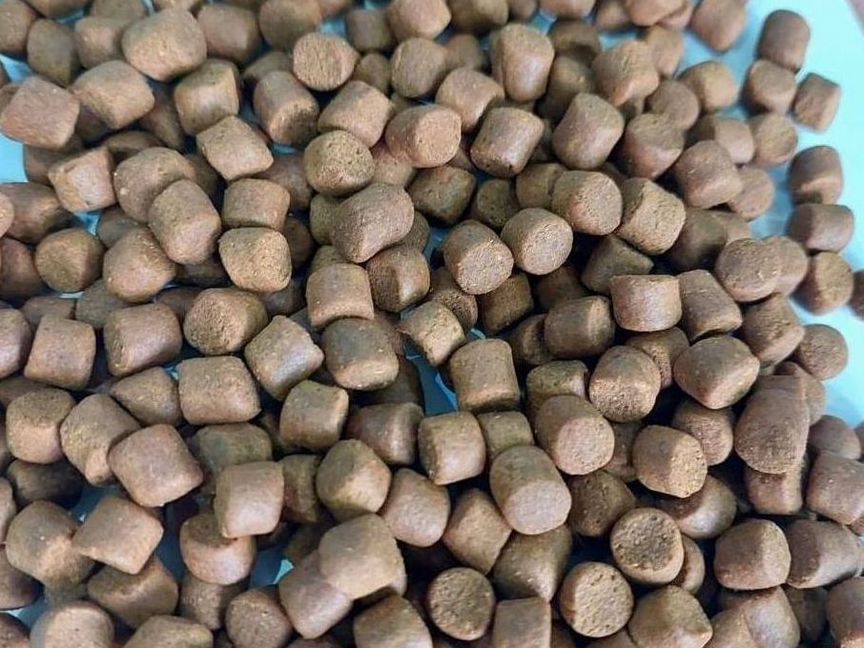 Корм для карпа