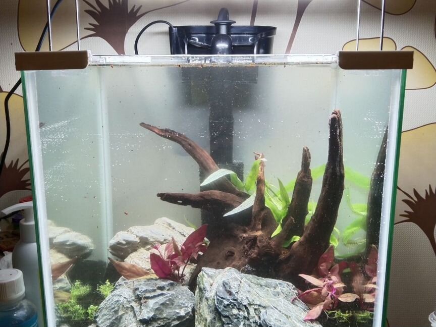 Аквариум кубик, 30 литров