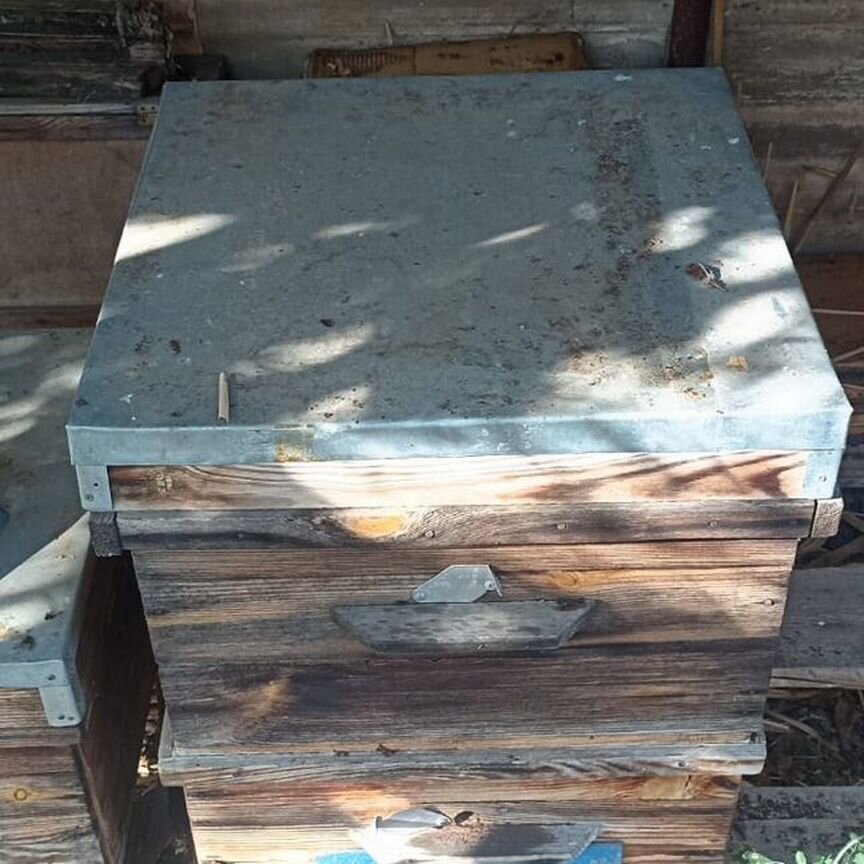 Продажа ульев
