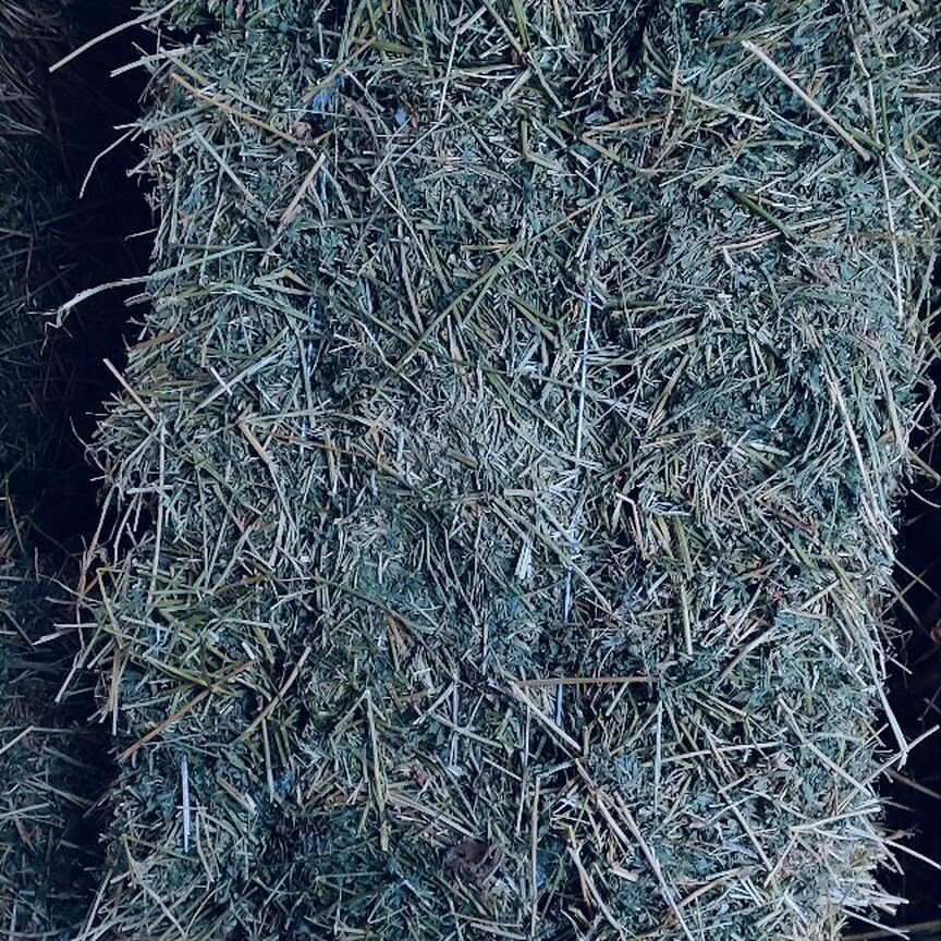 Сено люцерны в тюках