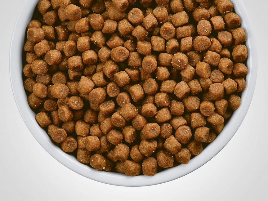 Сухой корм для собак и кошек от производителя
