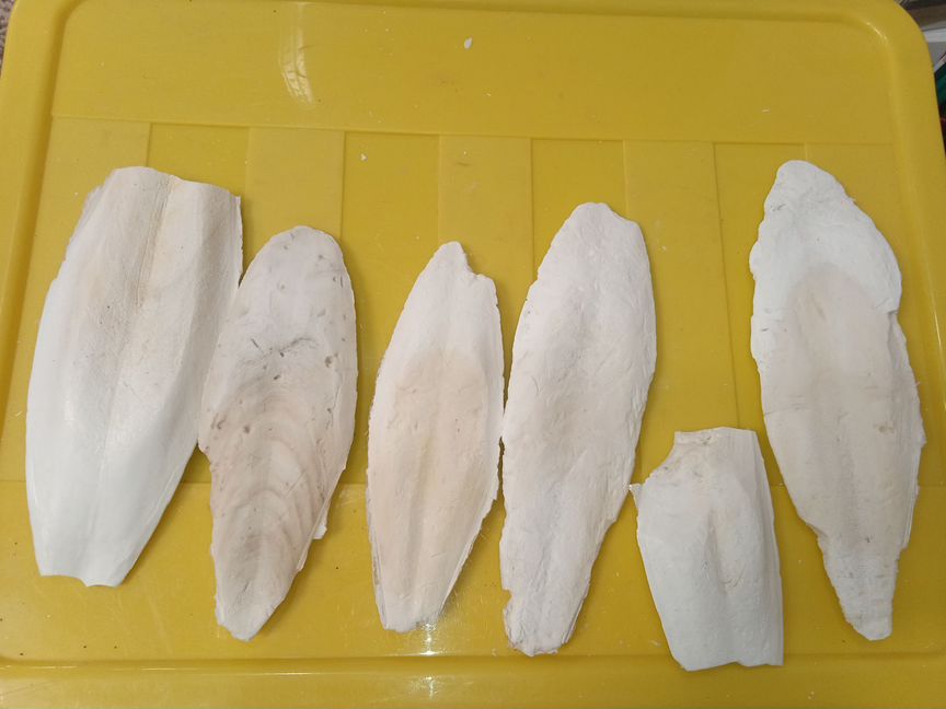 Панцирь каракатицы(кальций)