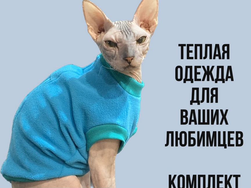 Одежда для животных