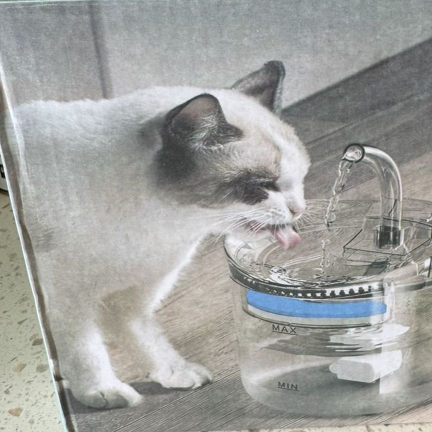 Автопоилка с датчиком движения для кошек и собак