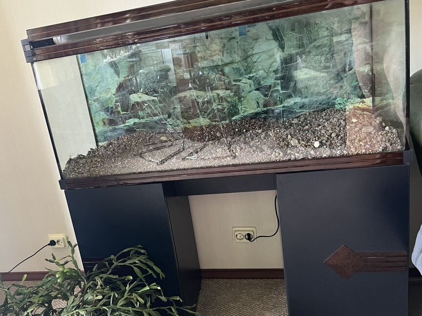 Аквариум 300 литров