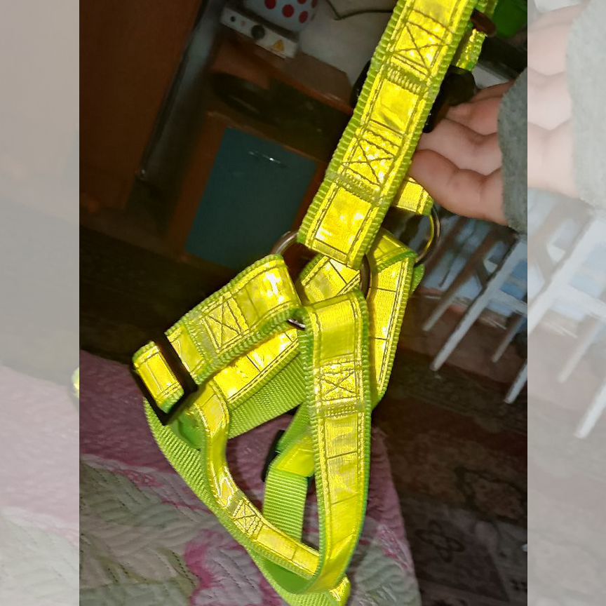Шлейка для собаки