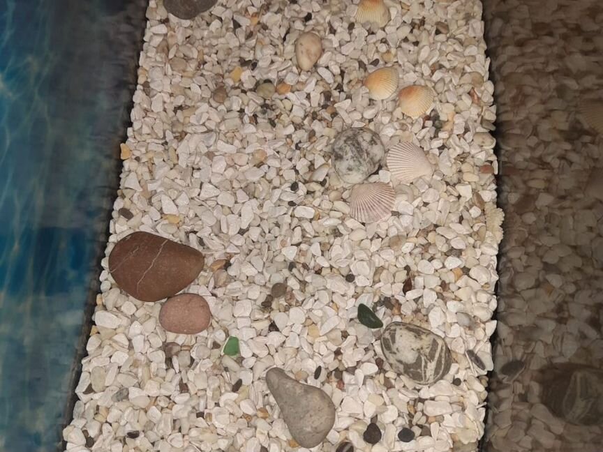 Грунт для аквариума