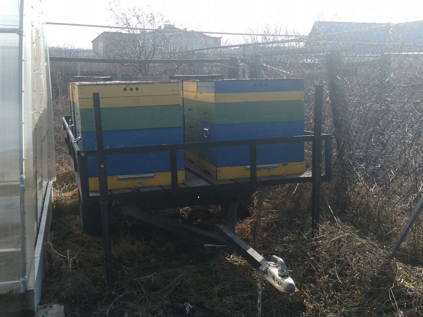Пчеловодство