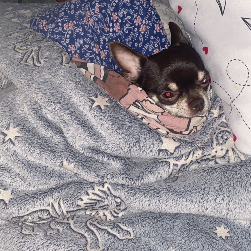 Взяка для девочки