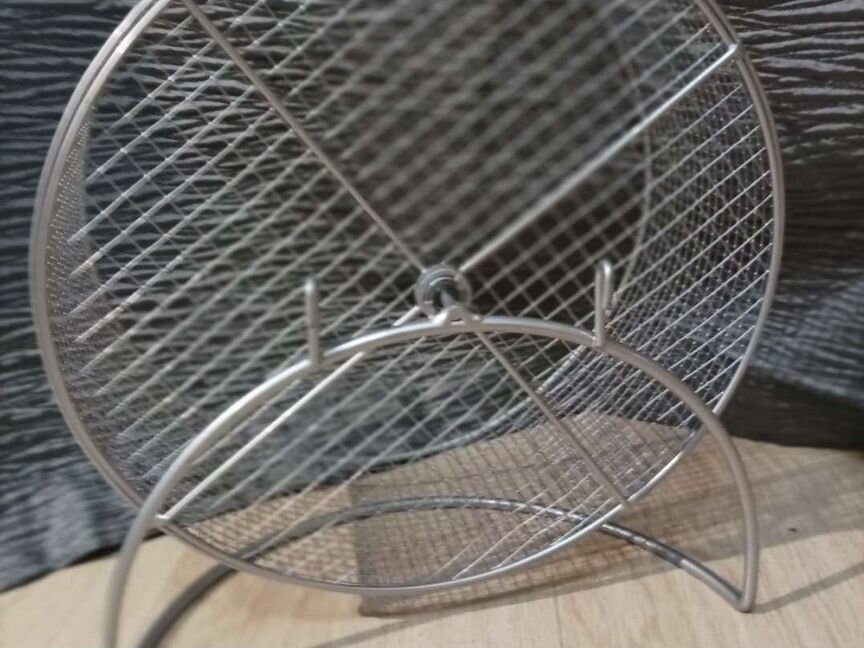 Беговое колесо