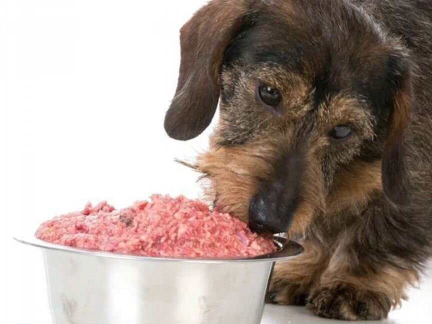 Продам собачий корм говяжий