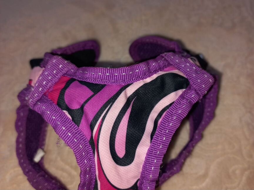 Шлейка для маленькой собаки