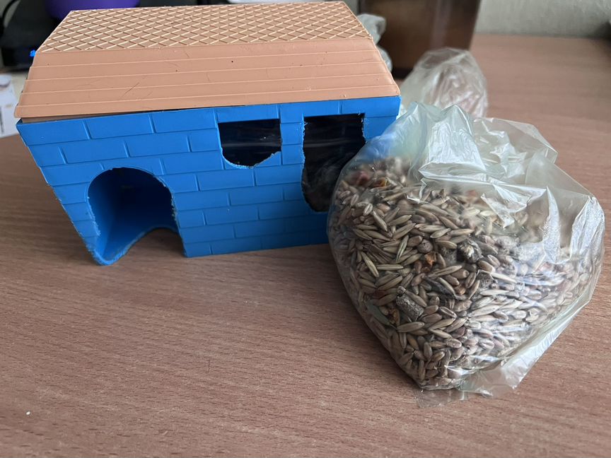 Корм и домик для хомяка