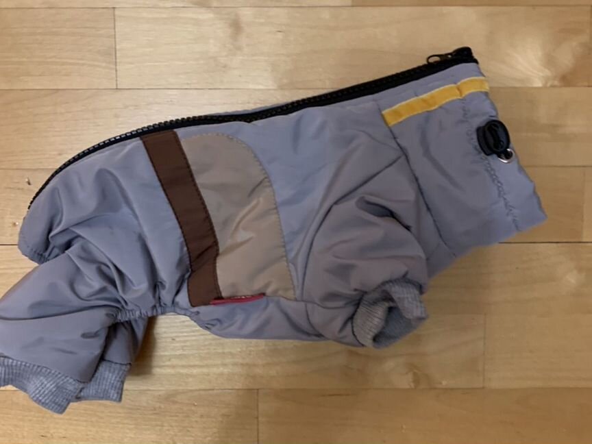 Одежда для собак мелких пород