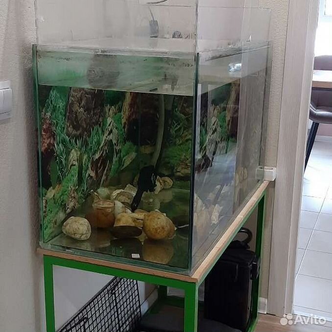 Аквариум - Террариум для красноухой черепахи