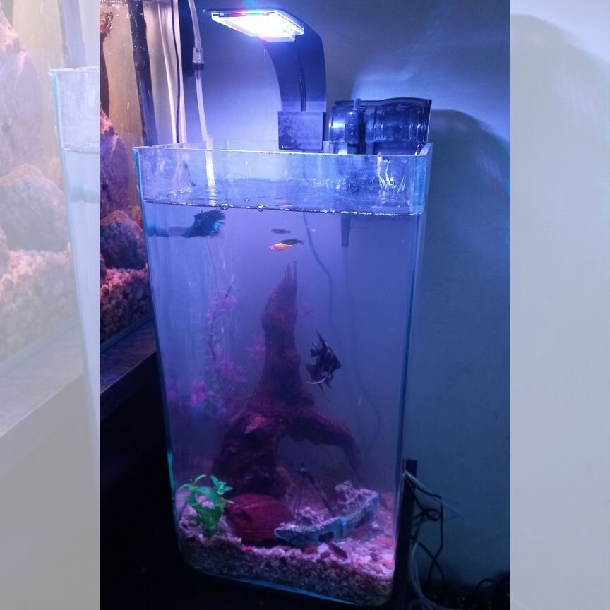 Аквариум вертикальный 28 литров