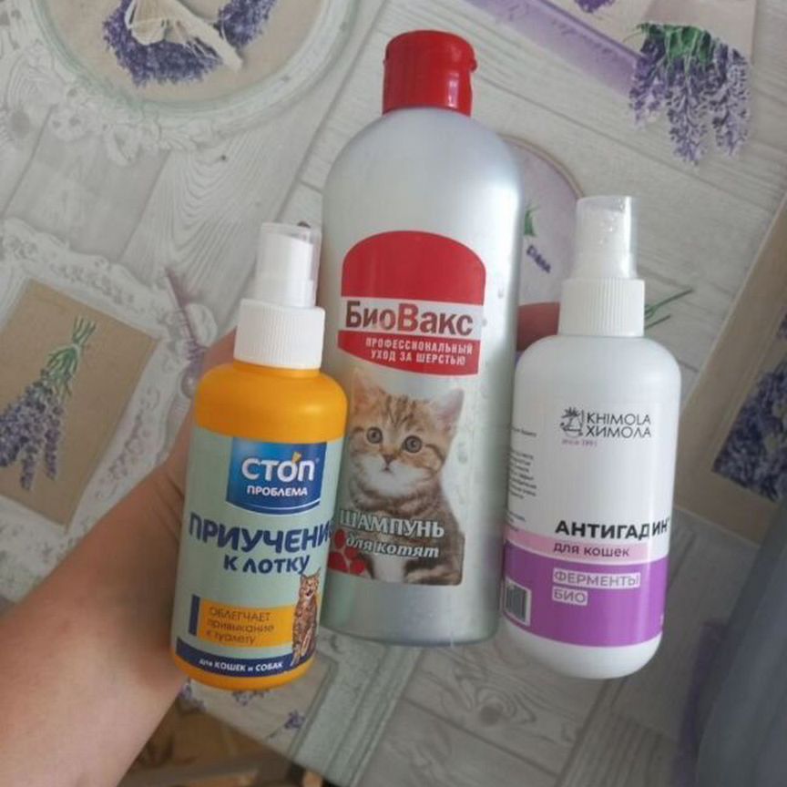 Шампунь для котят