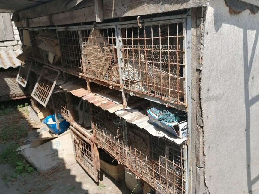 Крольчатник