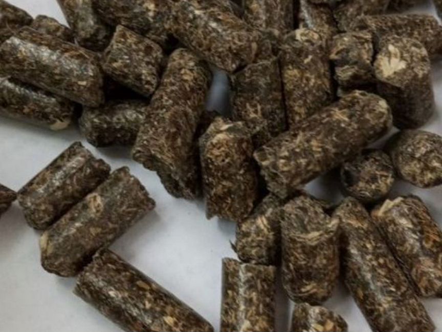 Шрот подсолнечный