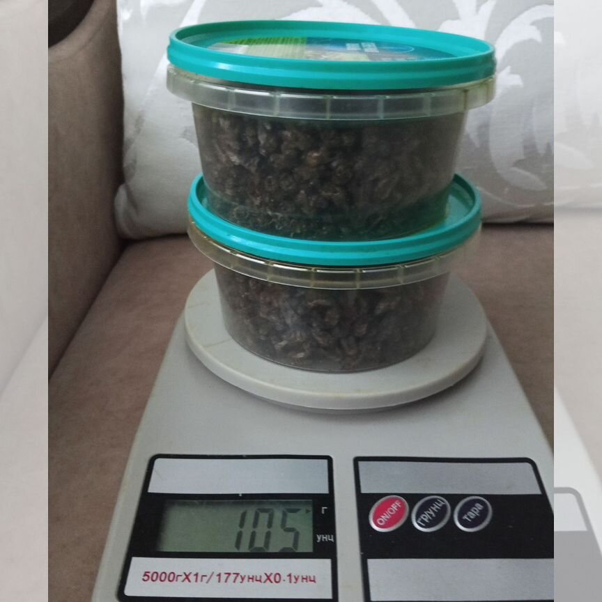 Сушёный пчелиный подмор. 2025 г