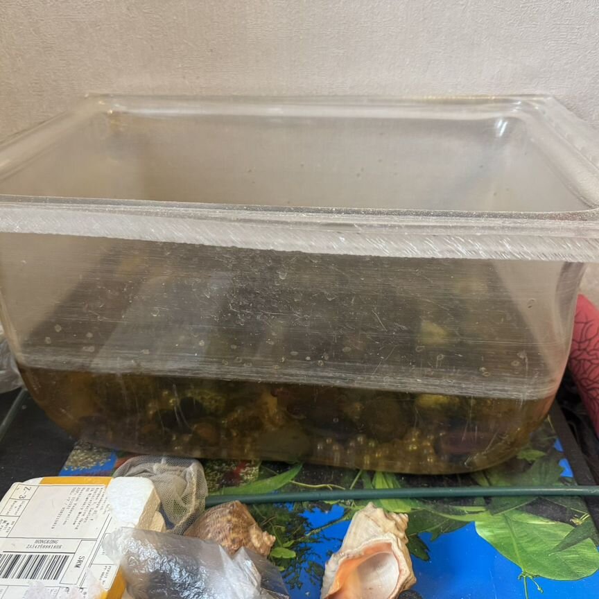 Аквариум с рыбками (гуппешки)