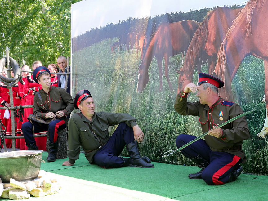 Цыплята бройлеры