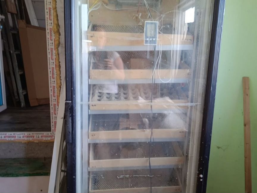 Инкубатор для яиц автоматический