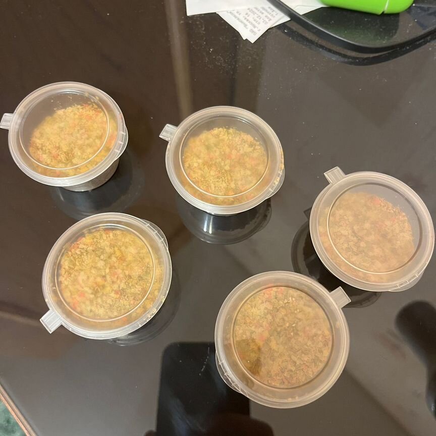 Корм для рыб бесплатно