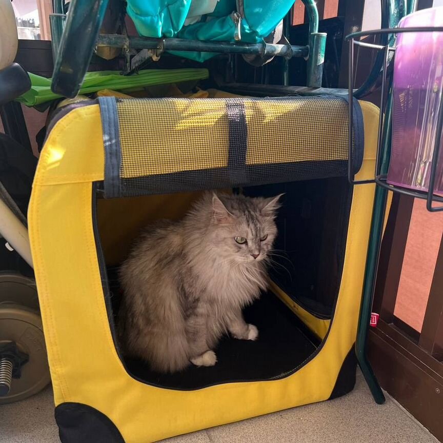 Сумка переноска палатка складная для кошек и собак