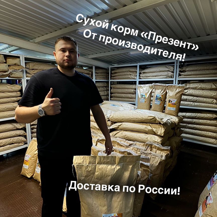 Корм для собак