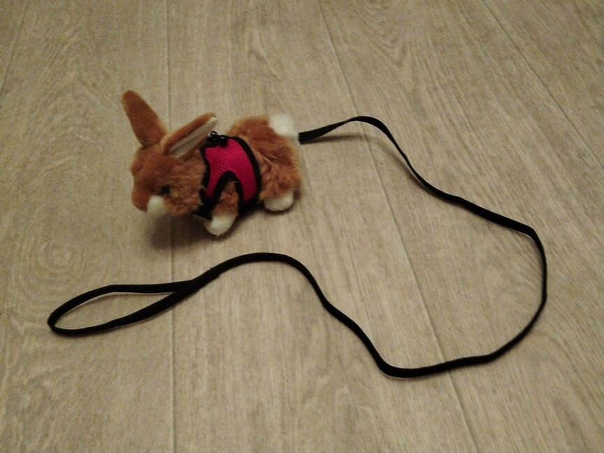 Поводок для грызунов