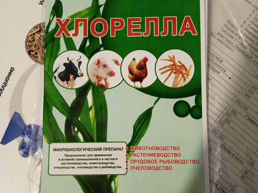 Продам хлорэла