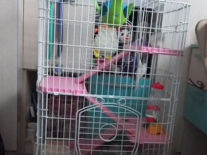 Клетка для крыс бу