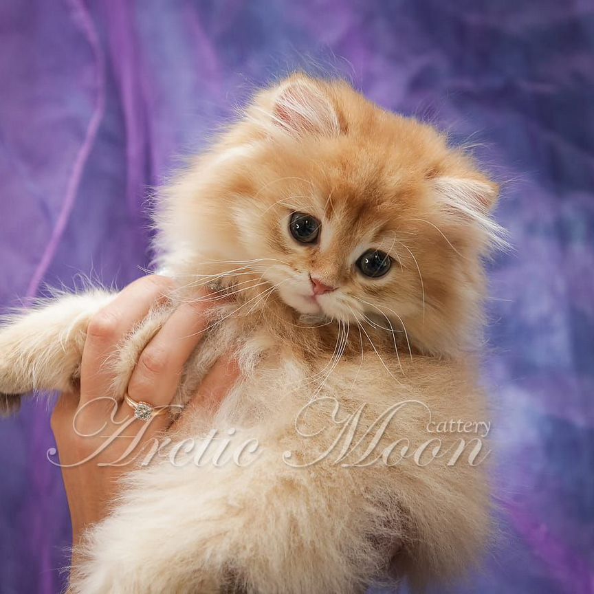 Яркий мальчишка