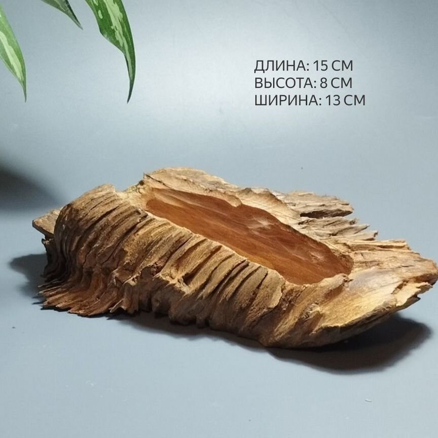 Коряга 2 натур. с отверстием для посадки растений