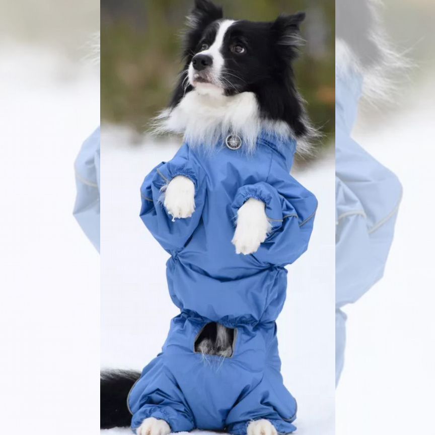Комбинезон для собак бронь