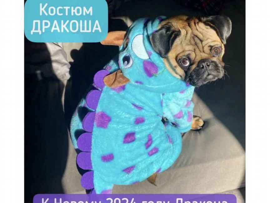 Костюм для собаки/кошки