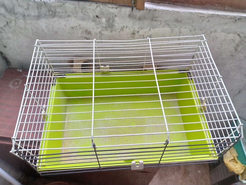Клетка для грызунов бу