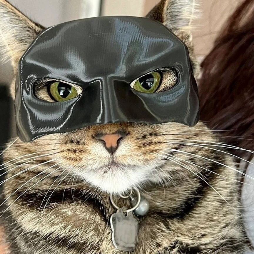 Маска бетмена для кота