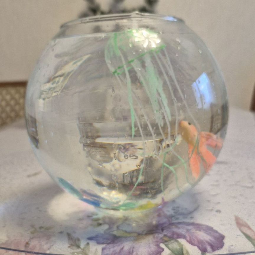 Аквариум 4 литра