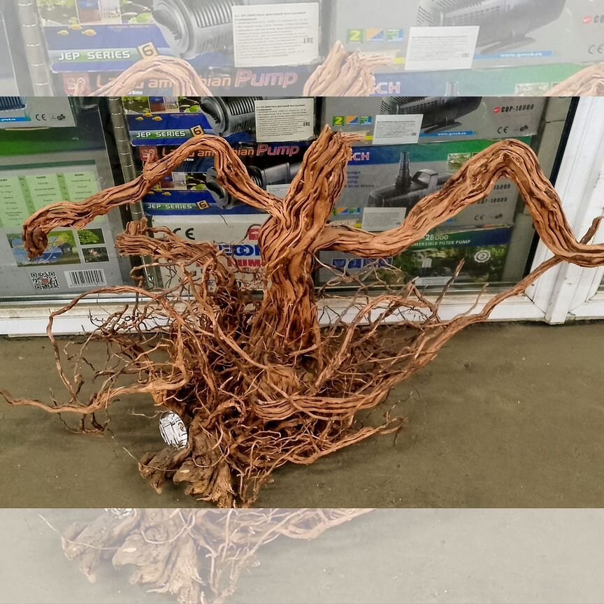 Коряга чечел для, аквариума