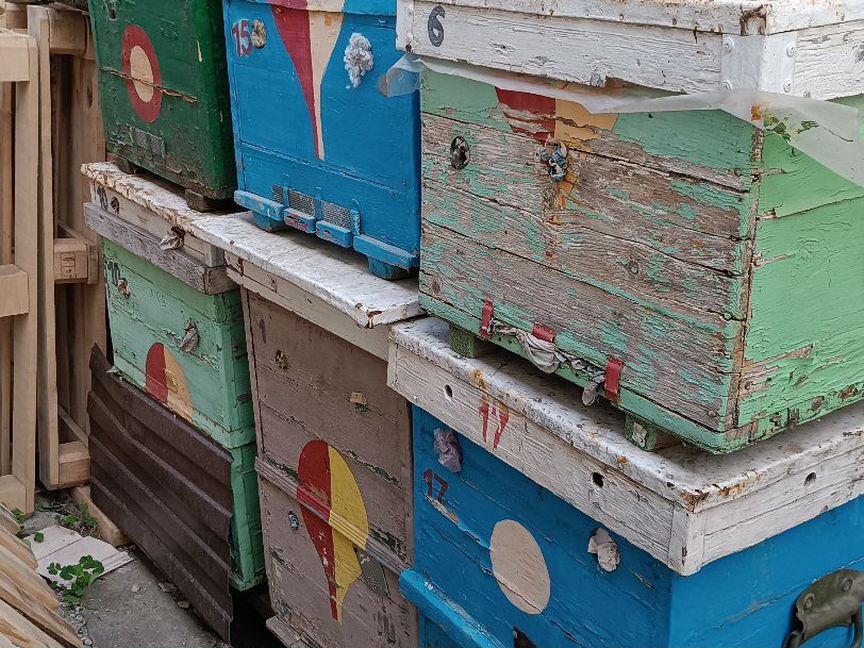 Улей для пчел