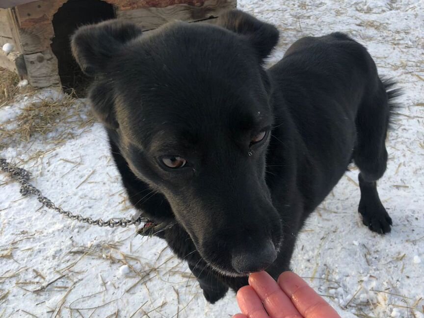 Неужели шансов ноль